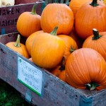 French Fridays: Favourite French pumpkin recipes | eat. live. travel ...