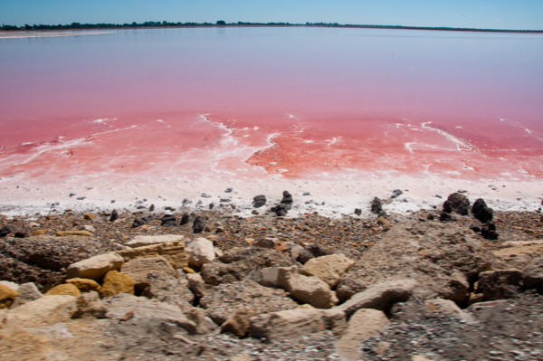 Visiting Le Salin d’Aigues-Mortes in the Camargue | eat. live. travel ...