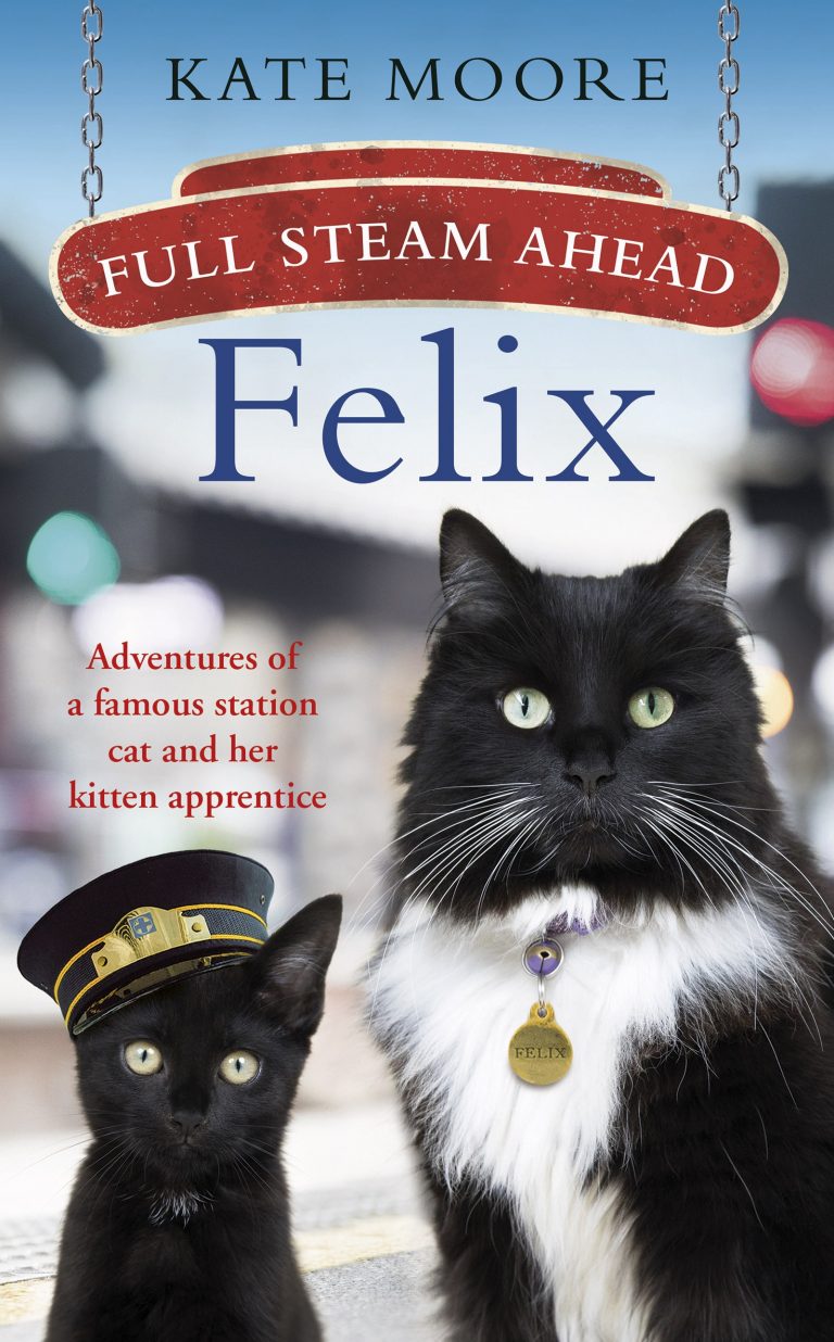 Summer Reads: Felix the Huddersfield Station Cat books | eat. live ...