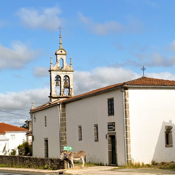 Walking the Camino de Santiago: Melide to Arzúa | eat. live. travel. write.
